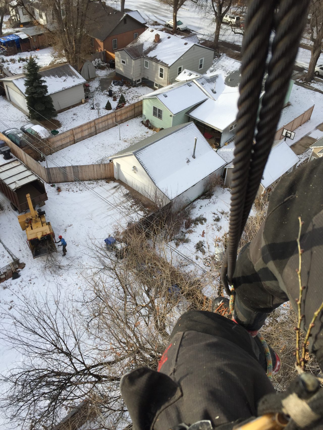 Sub Contracting - TLC Tree Expert